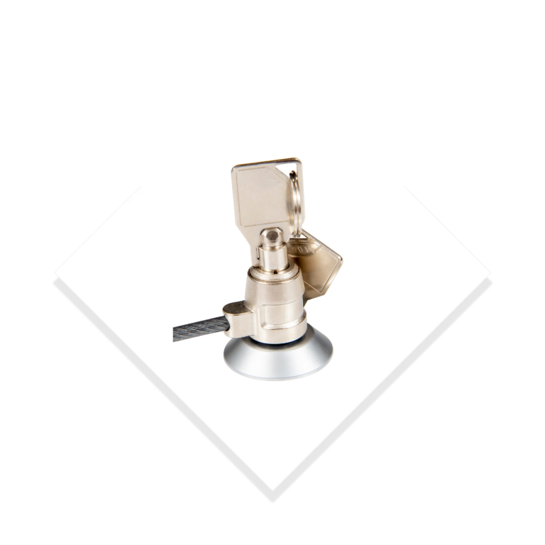 Desktop Lock with Padlock - Legion Computer Accessories